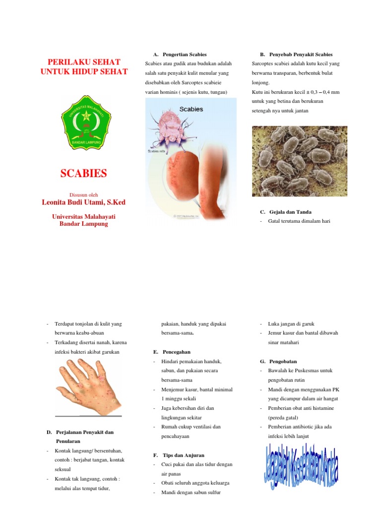 Leaflet SCABIES | PDF