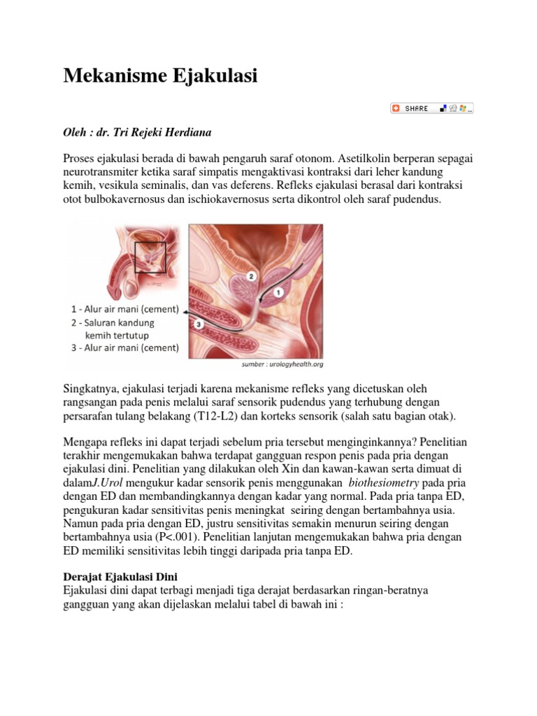 Mekanisme Ejakulasi | PDF