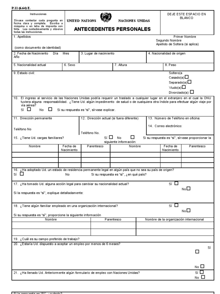 Formato P11 | PDF | Naciones Unidas | Relaciones internacionales