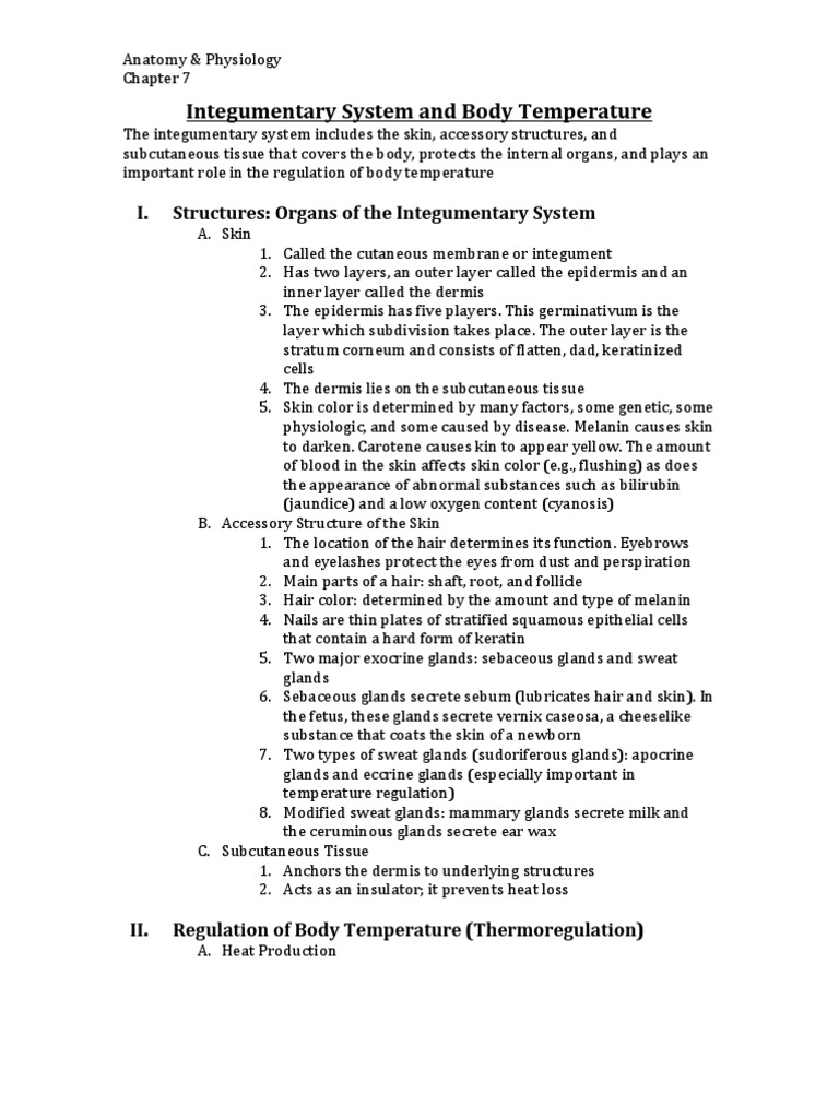 Ch. 7 Integumentary System and Body Temperature | PDF | Skin ...