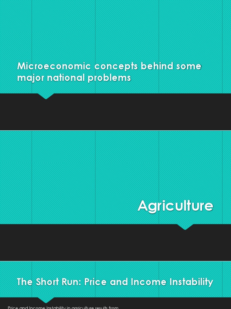 Microeconomic Concepts Behind Some Major National Problems | PDF ...