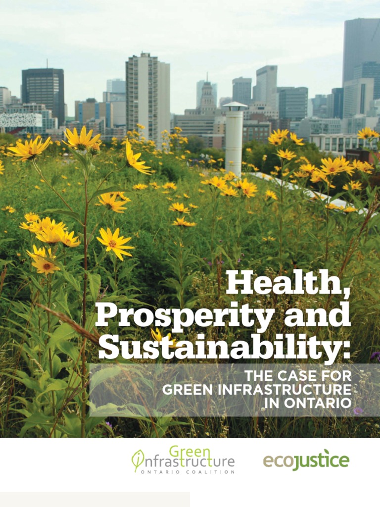 Health, Prosperity and Sustainability: The Case For Green ...