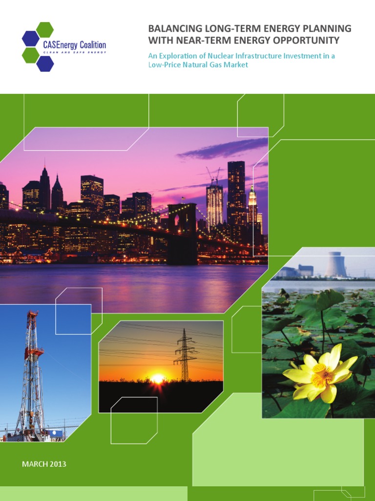 Energy Diversification White Paper | PDF | Energy Development ...