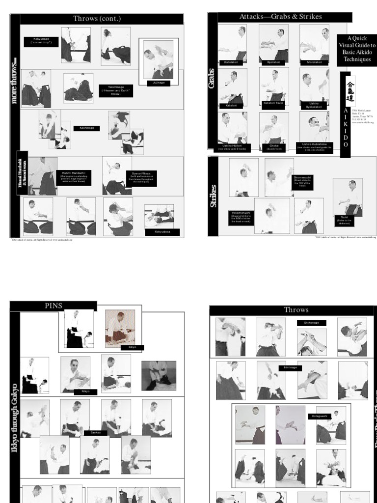 Quick Visual Guide To Basic Aikido Techniques | PDF