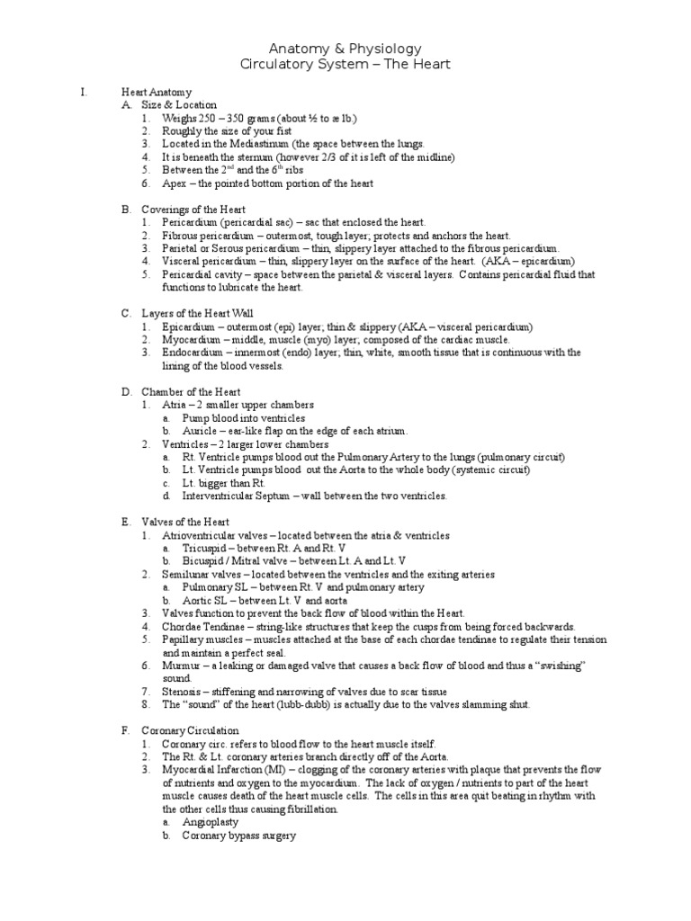 CH 11 Heart Notes | PDF | Heart Valve | Heart