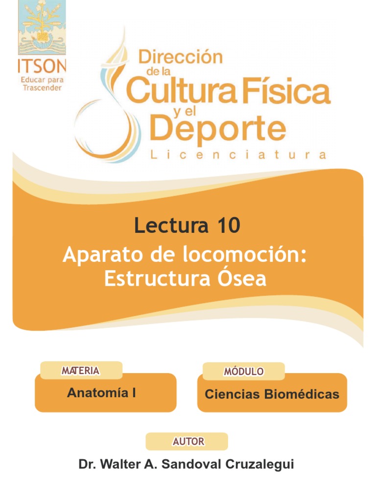 Lect10 Estructura Osea | PDF | Mano | Pelvis