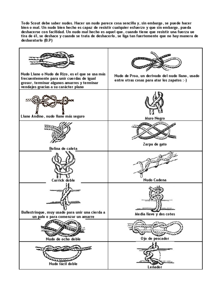 Todo Scout Debe Saber Nudos | PDF | Nudo | Cuerda