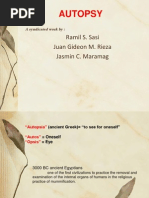 Virtual Autopsy Worksheet | PDF