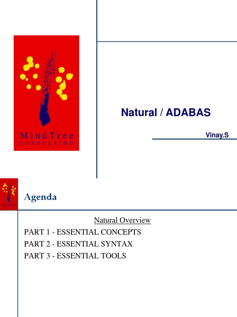 Adabas Basics | PDF | Subroutine | Office Equipment