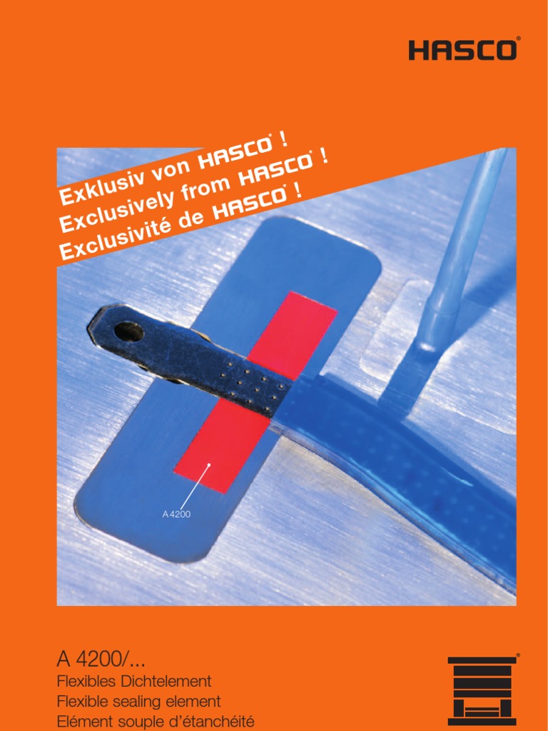A4200 DGBF-5-HASCO Seal Element | PDF