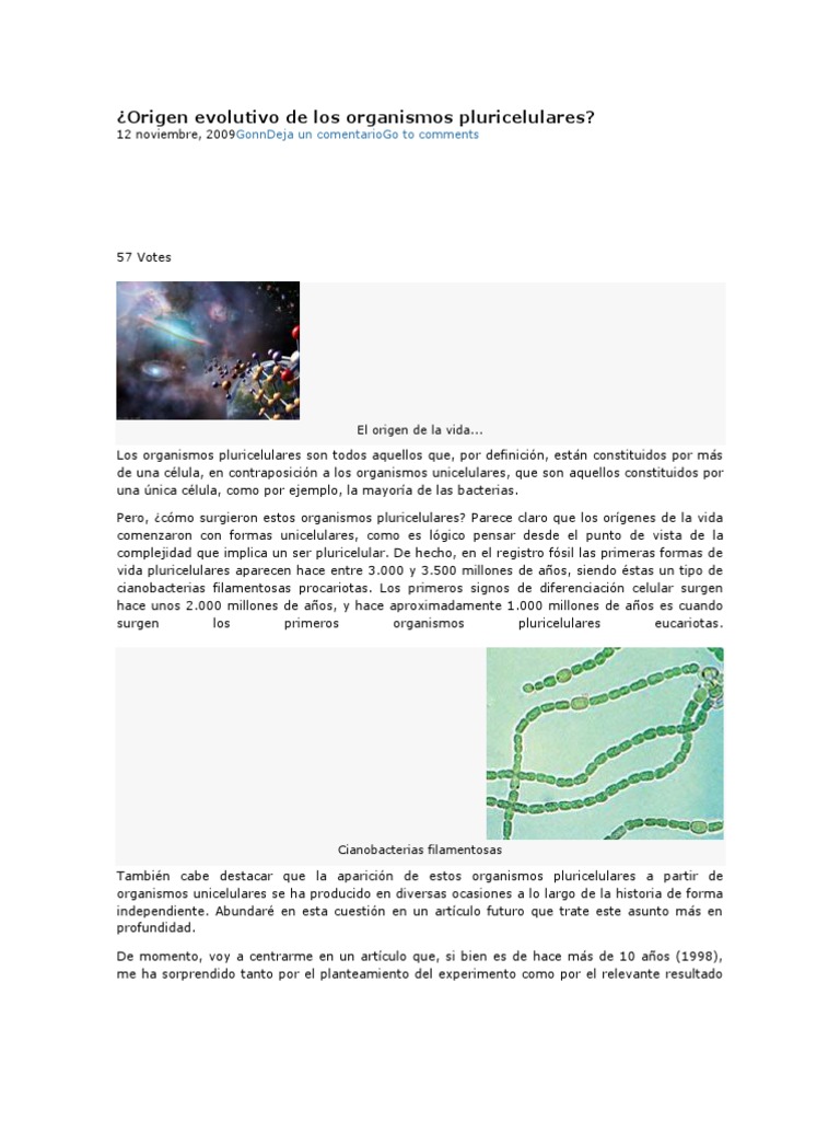 Origen de organismos pluricelulares | PDF | Organismos | Biología Celular)