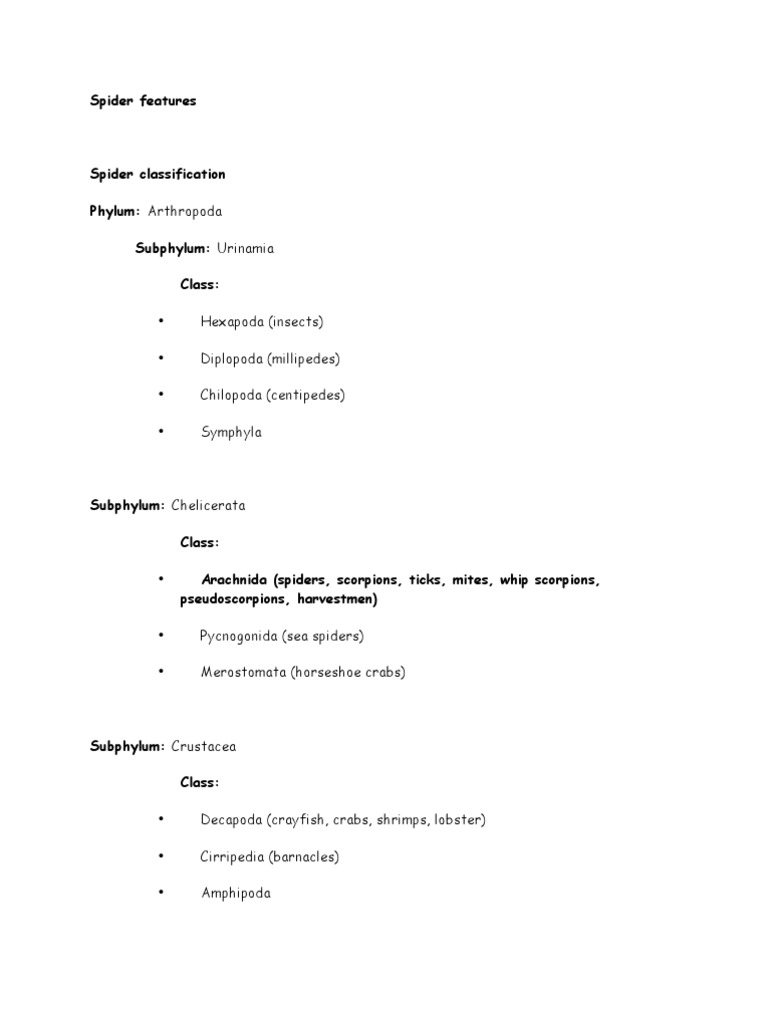 Spider Features | PDF | Spider | Spider Web