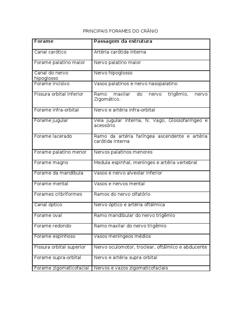Principais Forames do Crânio e Estruturas | PDF | Arte | Ciências e ...