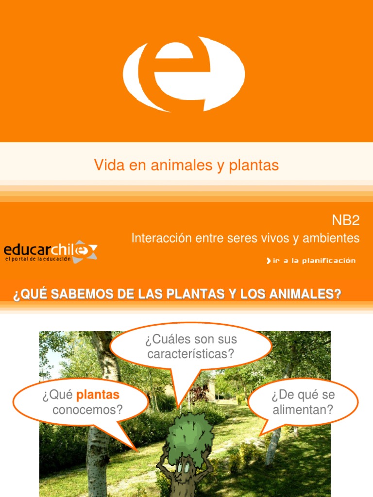 Animales y Plantas | Plantas | Vida