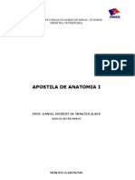 Anatomia - TGI - Equino | PDF | Trato gastrointestinal | Intestino delgado
