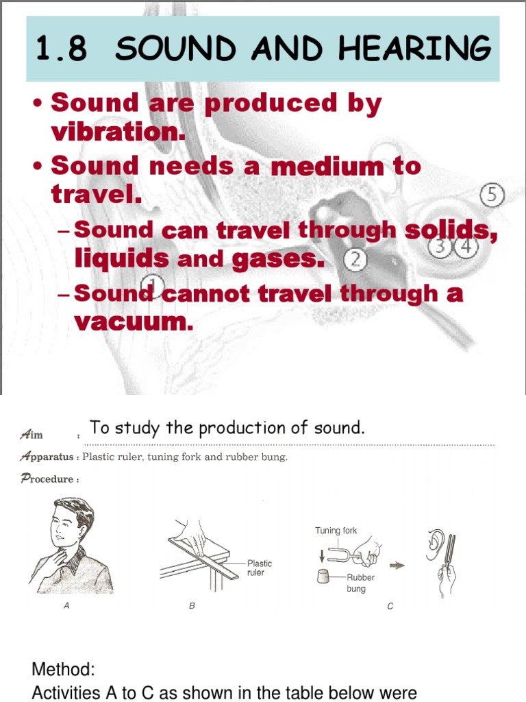Hearing Defects and Sound Transmission | PDF | Hearing | Ear