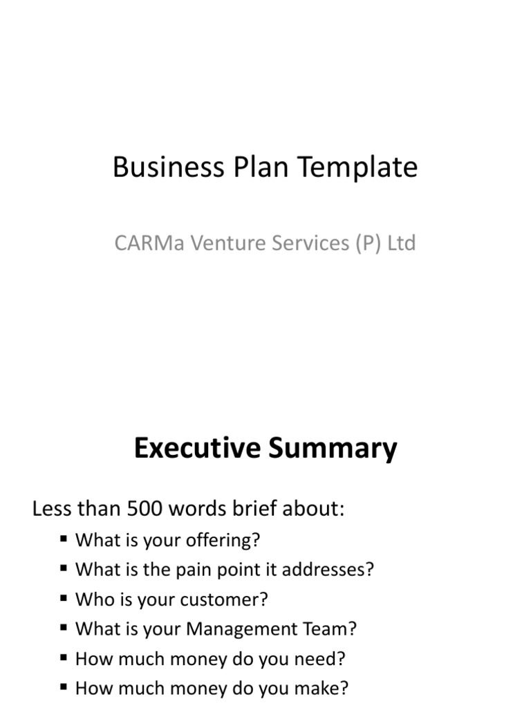 Business Plan Template: Carma Venture Services (P) LTD | PDF ...