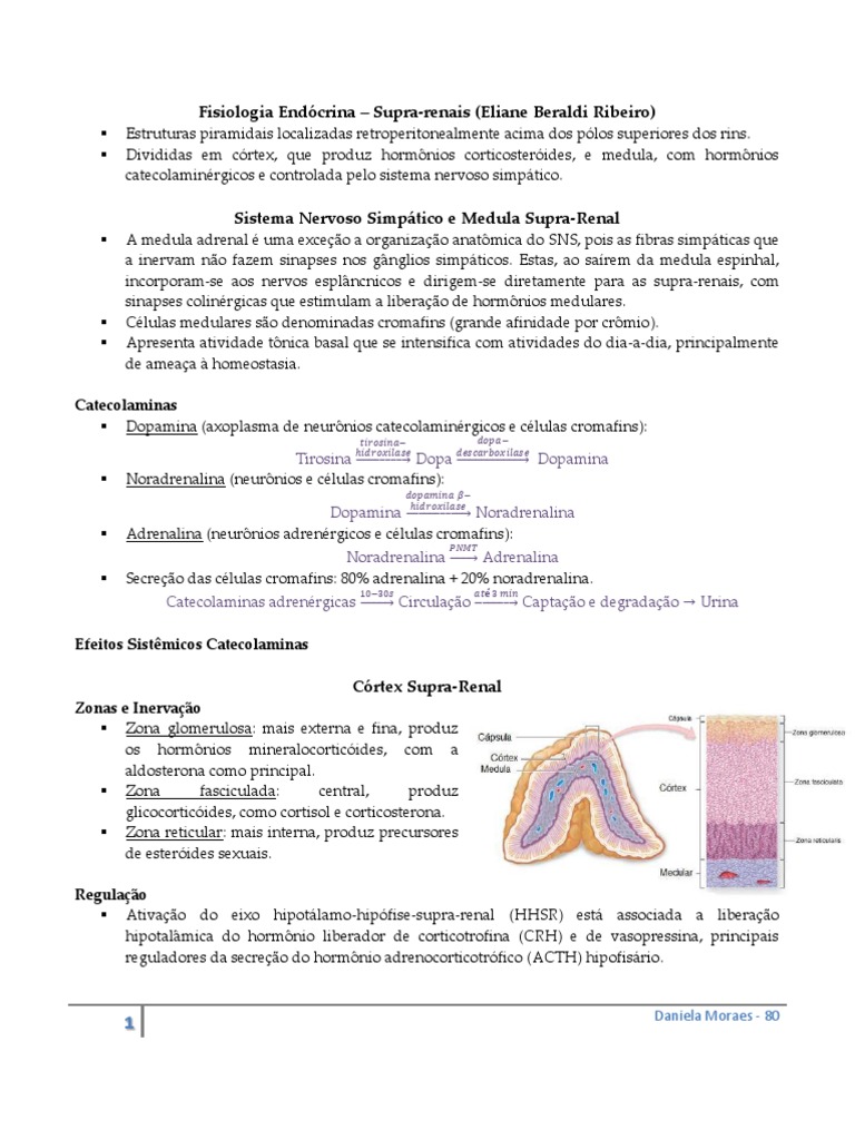 Fisio Endócrina - Supra-Renais | PDF | Glândula suprarrenal | Cortisol