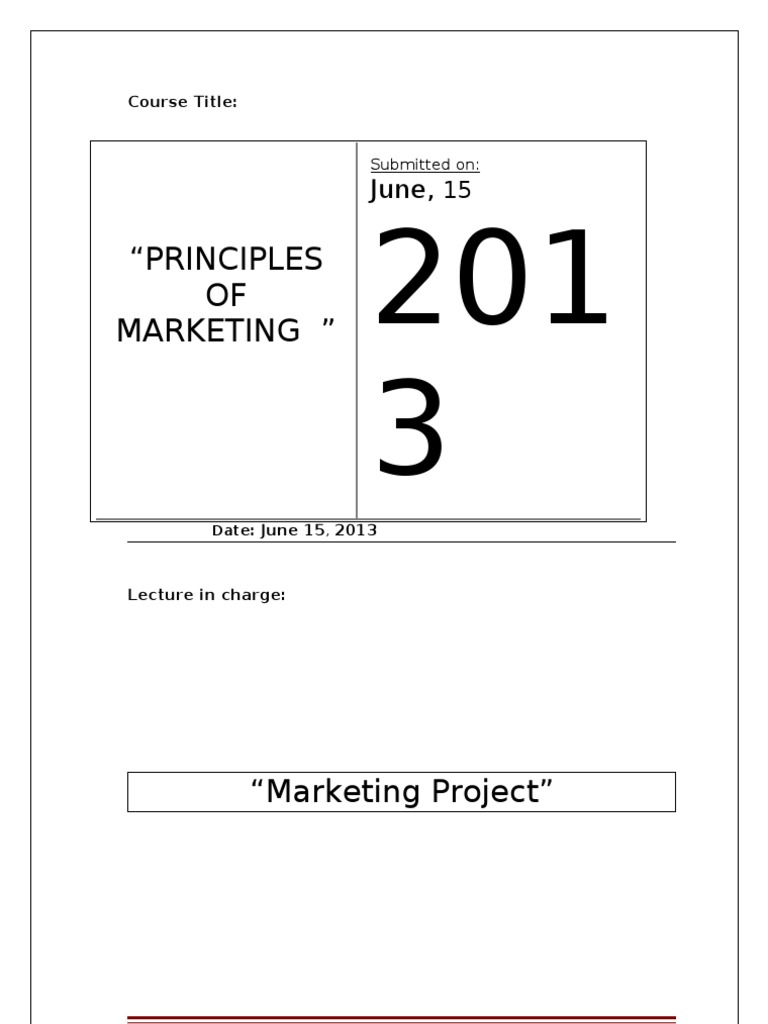Ice Cream Marketing Project Overview | PDF | Market Segmentation ...