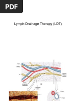 Kelly Kennedy Lymphatic Lessons | PDF | Lymphatic System | Lymph