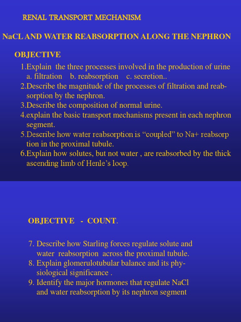 Renal Transport Mechanism (Dr. Hardian) | PDF | Endocrine System | Kidney