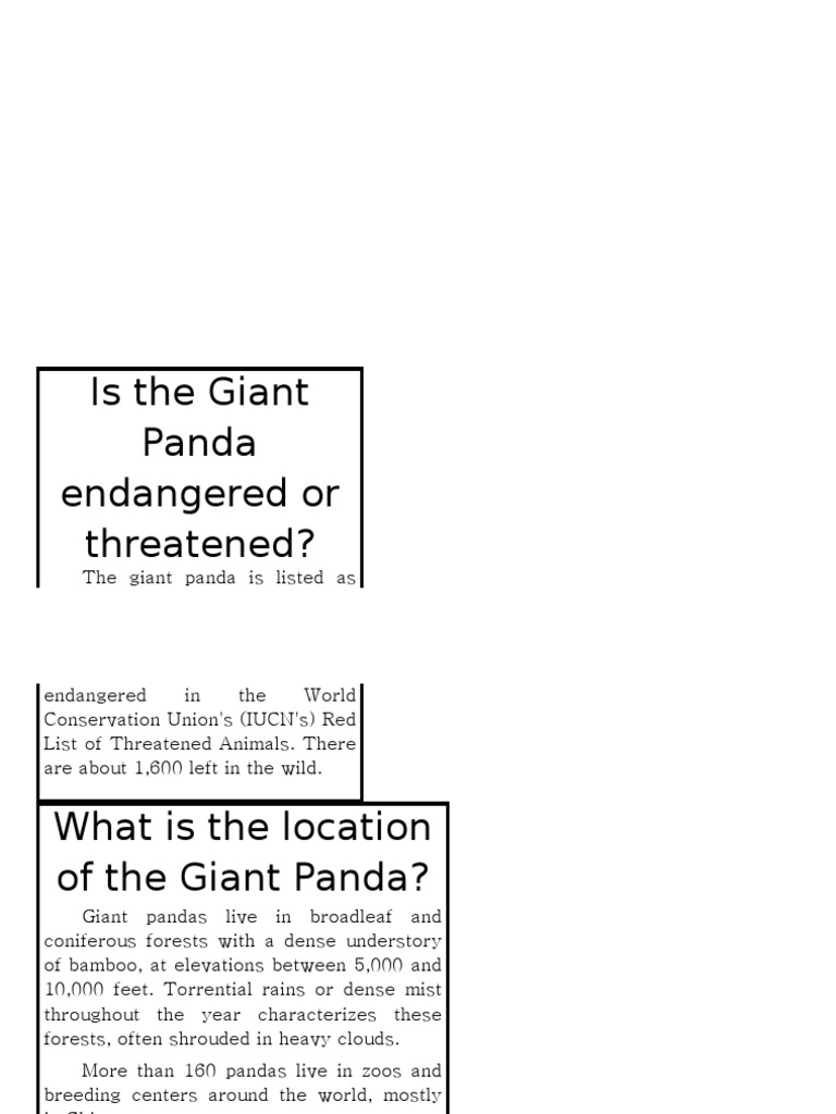 Giant Panda Poster | PDF | Giant Panda | Endangered Species