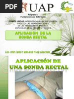Sonda Rectal | PDF | Recto | Enfermería