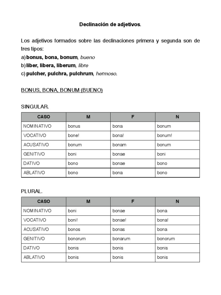 Declinación de Adjetivos en Latín | PDF