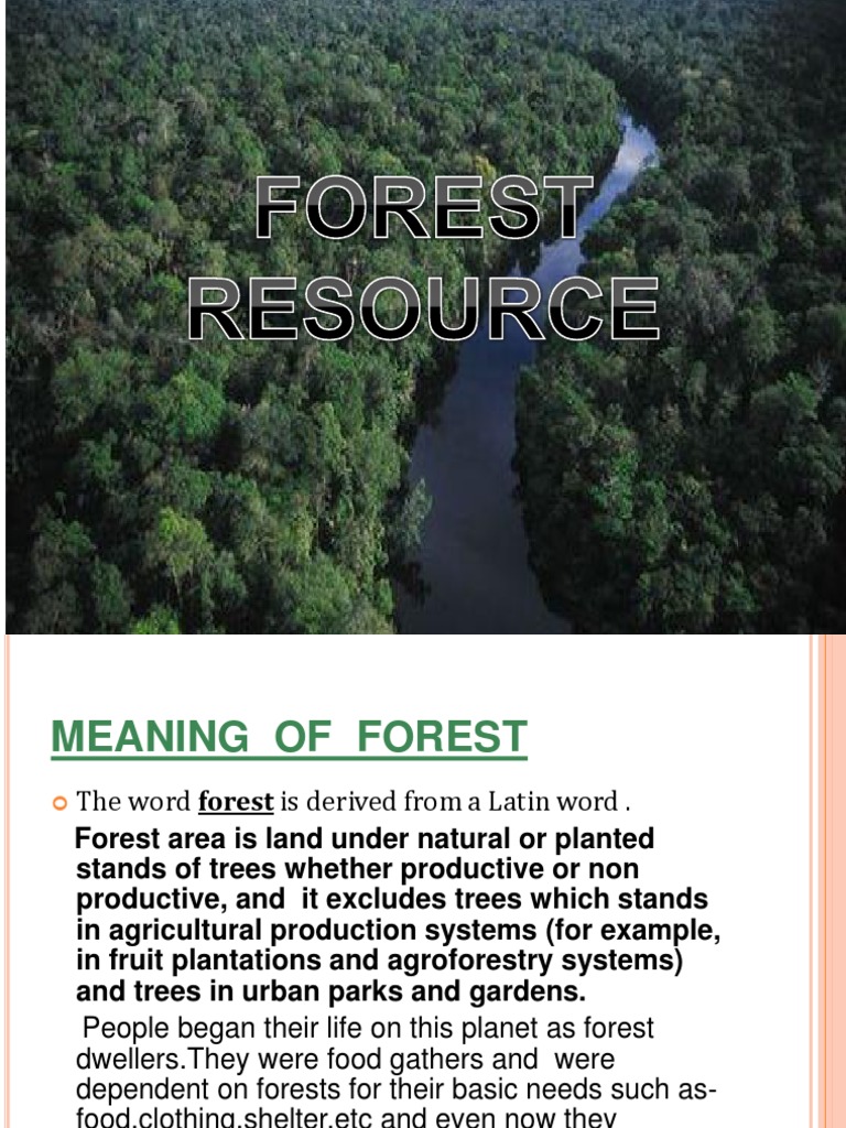Forest Resources | PDF | Forestry | Sustainability