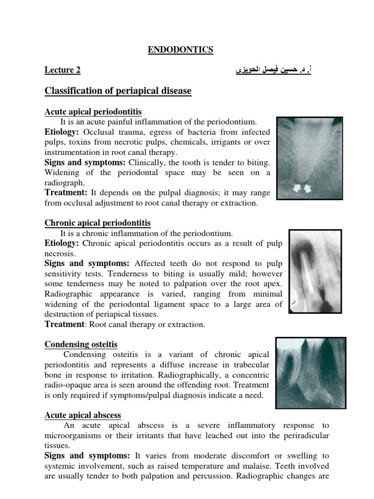 Endo 2 | Dental Anatomy | Clinical Medicine