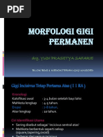Tabel Waktu Erupsi Gigi | PDF | Seni & Disiplin Bahasa | Kajian Bahasa ...