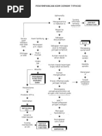 Pathway Demam Thypoid | PDF | Sains & Matematika