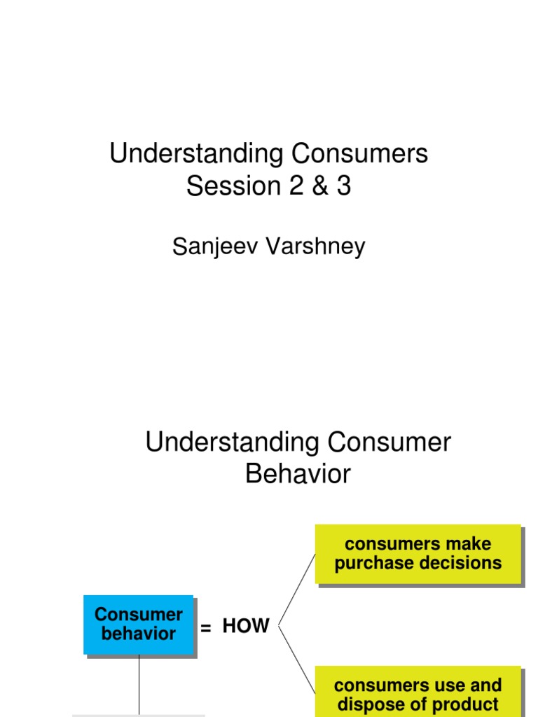 Consumer Behaviour | PDF