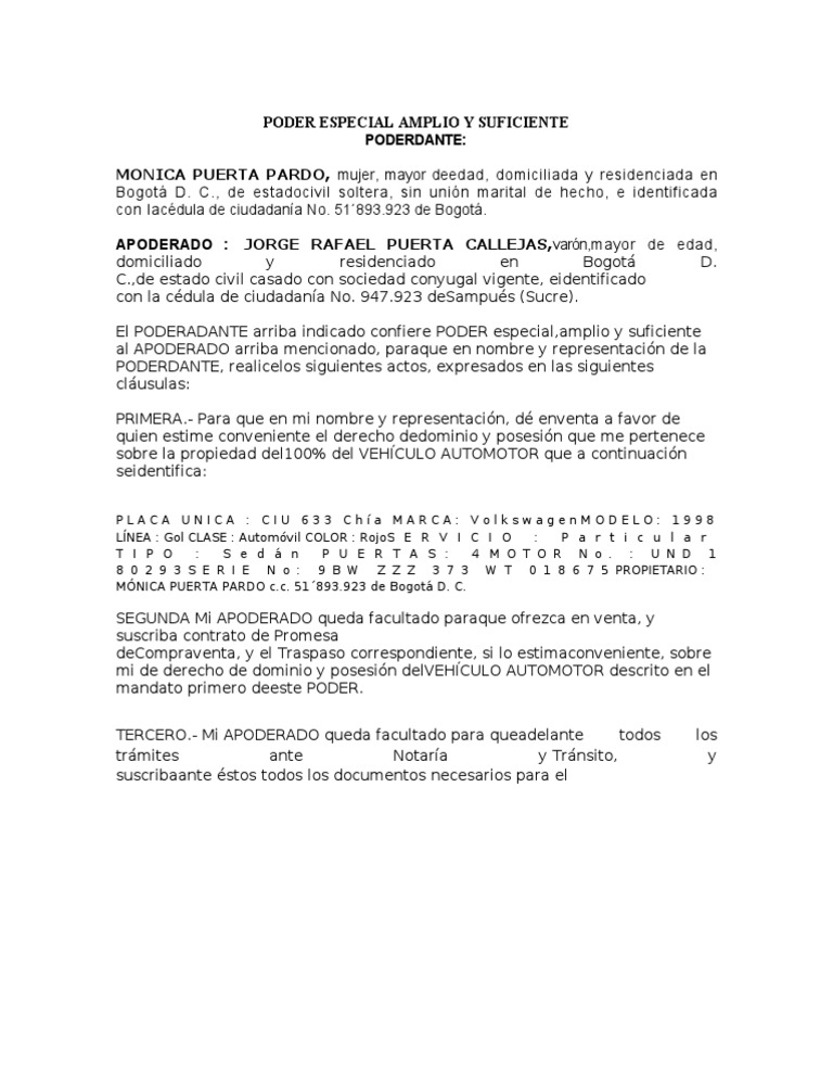 Poder Especial Amplio | PDF