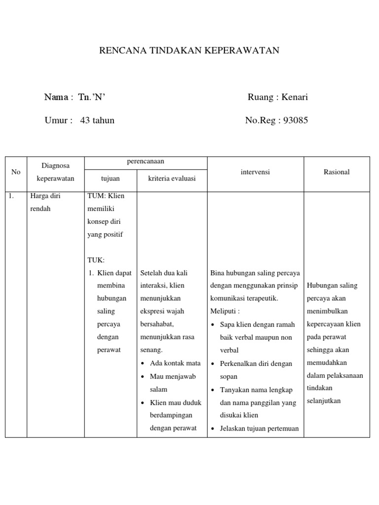 Rencana Tindakan Keperawatan HDR | PDF