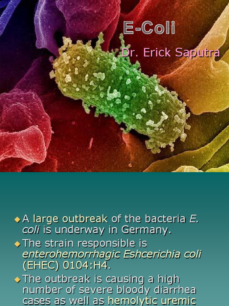 E COLI Presentation 26 June 2011 | Public Health | Diseases And Disorders