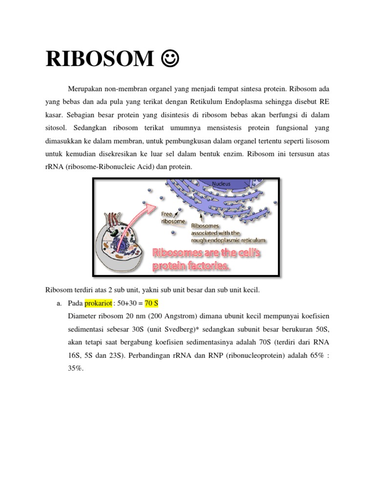 Ribosom | PDF