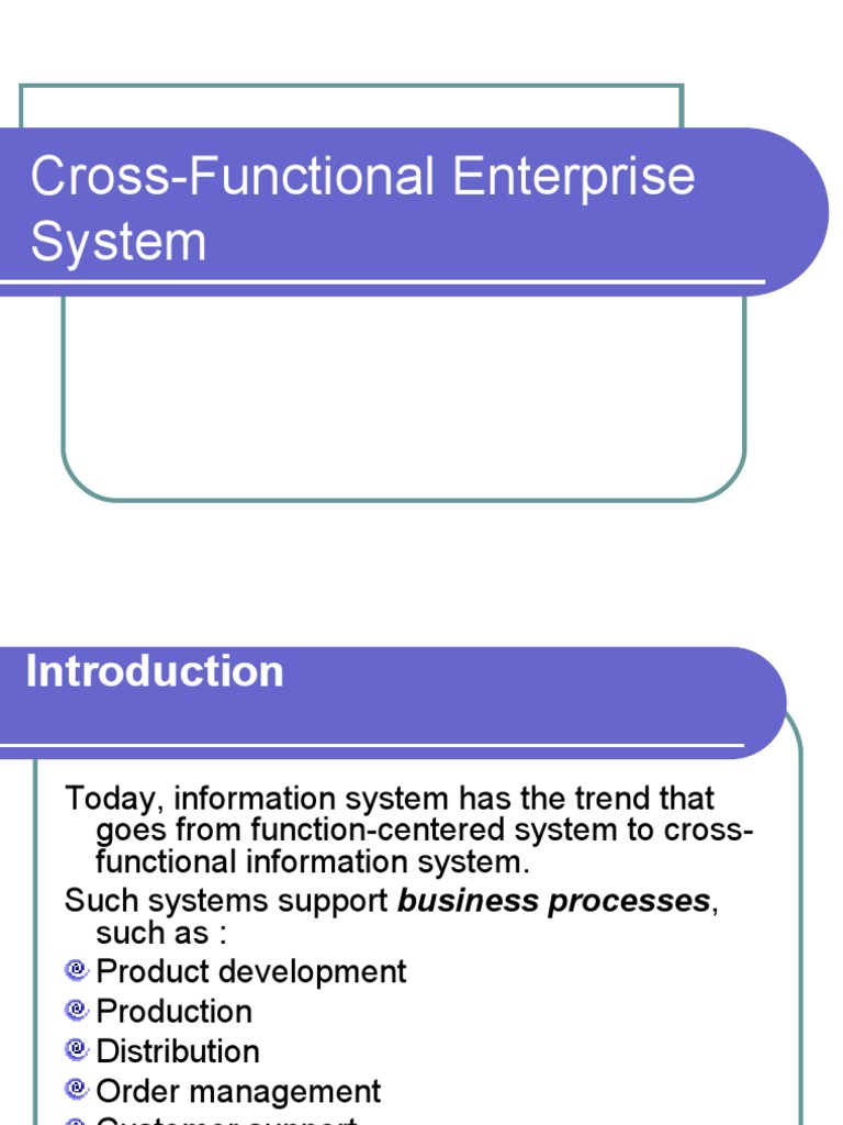 Cross-Functional Enterprise Systems Guide | PDF | Enterprise Resource ...