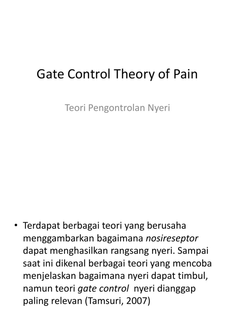 Gate Control Theory of Pain | PDF