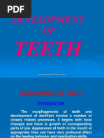 Kennedy Class 3 Modification Overview | PDF | Prosthodontics | Dentures