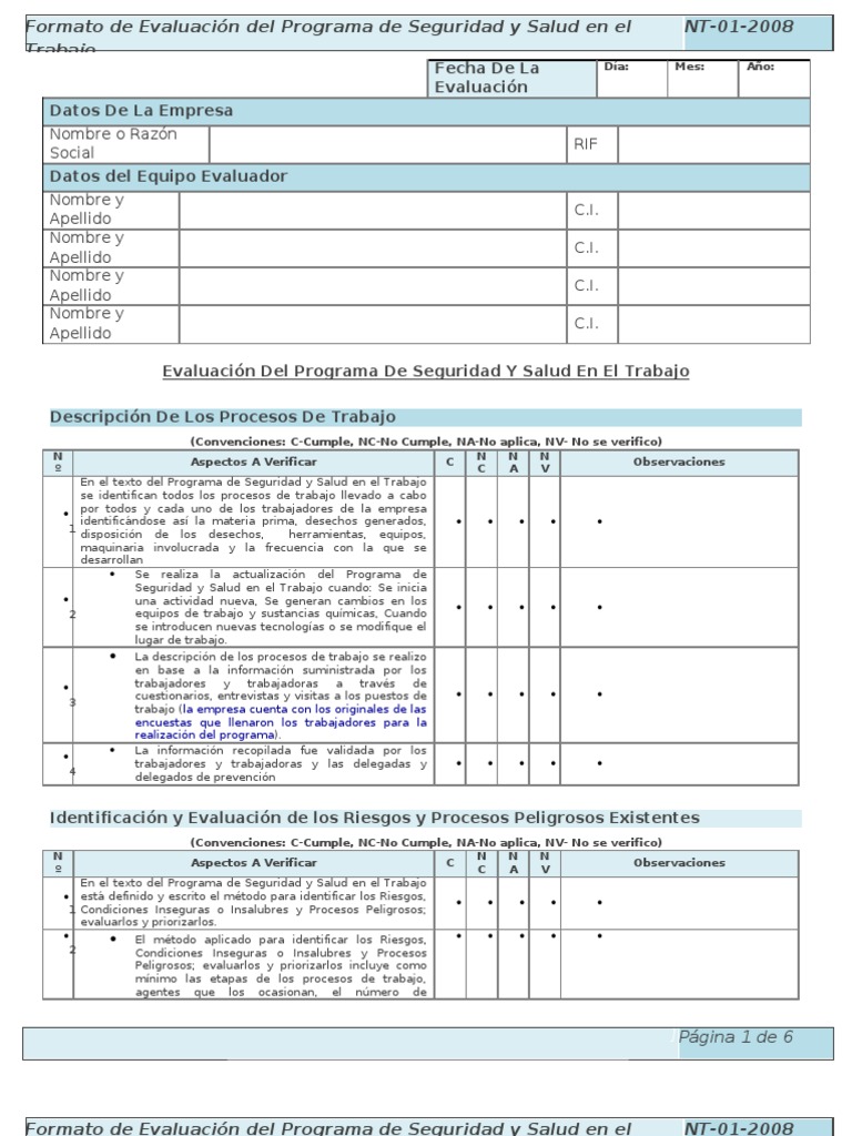 Formato de Evaluacion Del Programa de SST | PDF | Seguridad y salud ocupacional | Derecho laboral