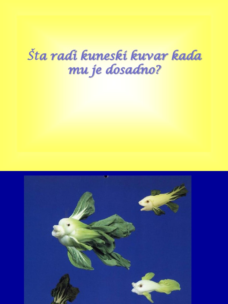 Kineski Kuvar | PDF