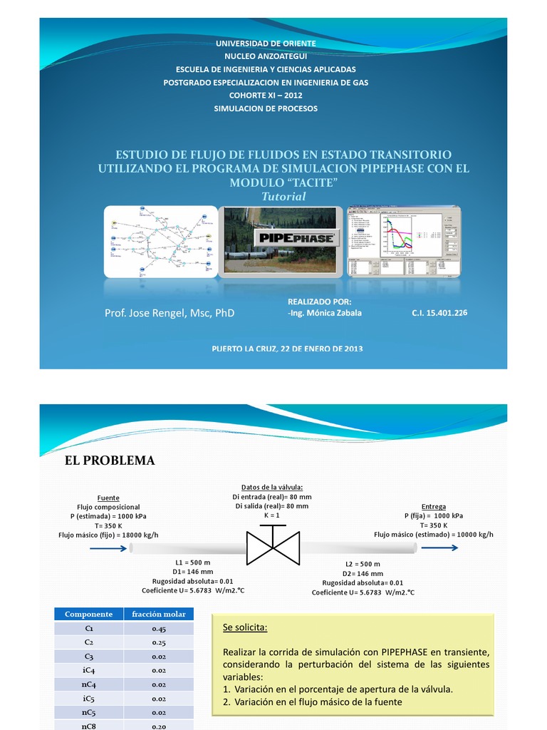 Tutorial Ejemplo-Simulación Con Pipephase | PDF | Point and Click ...