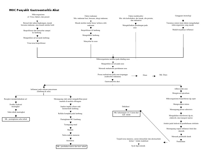 Woc Teori Gea Baru Edit | PDF | Sains & Matematika | Teknologi & Rekayasa