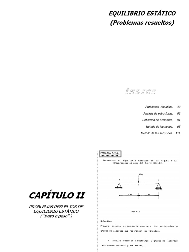 Equilibrio Estatico Problemas Resueltos | PDF | Naturaleza
