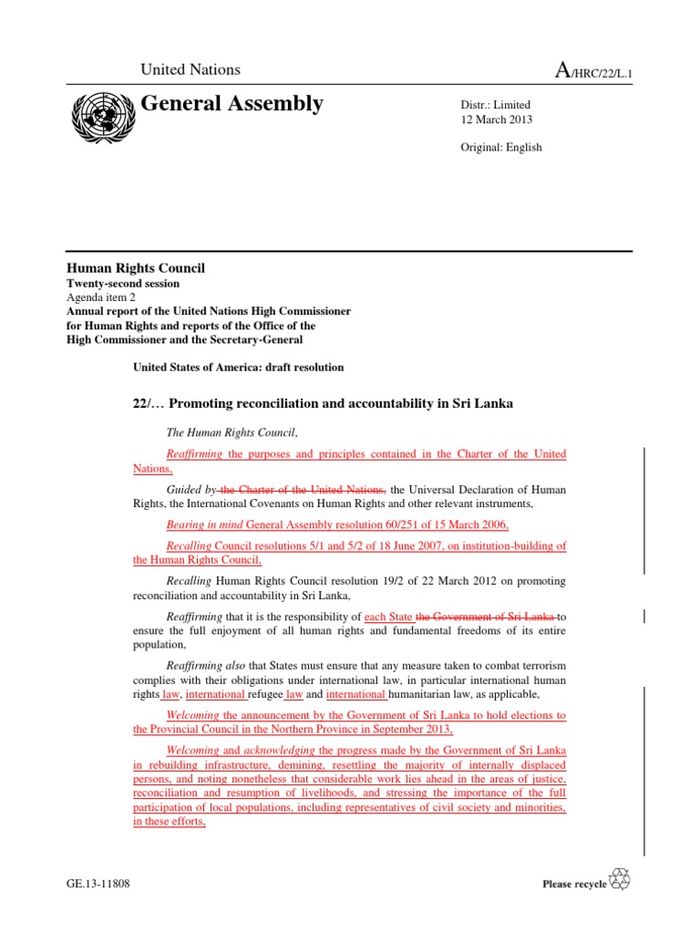 English (Draft Rev 1) | PDF | Human Rights | United Nations