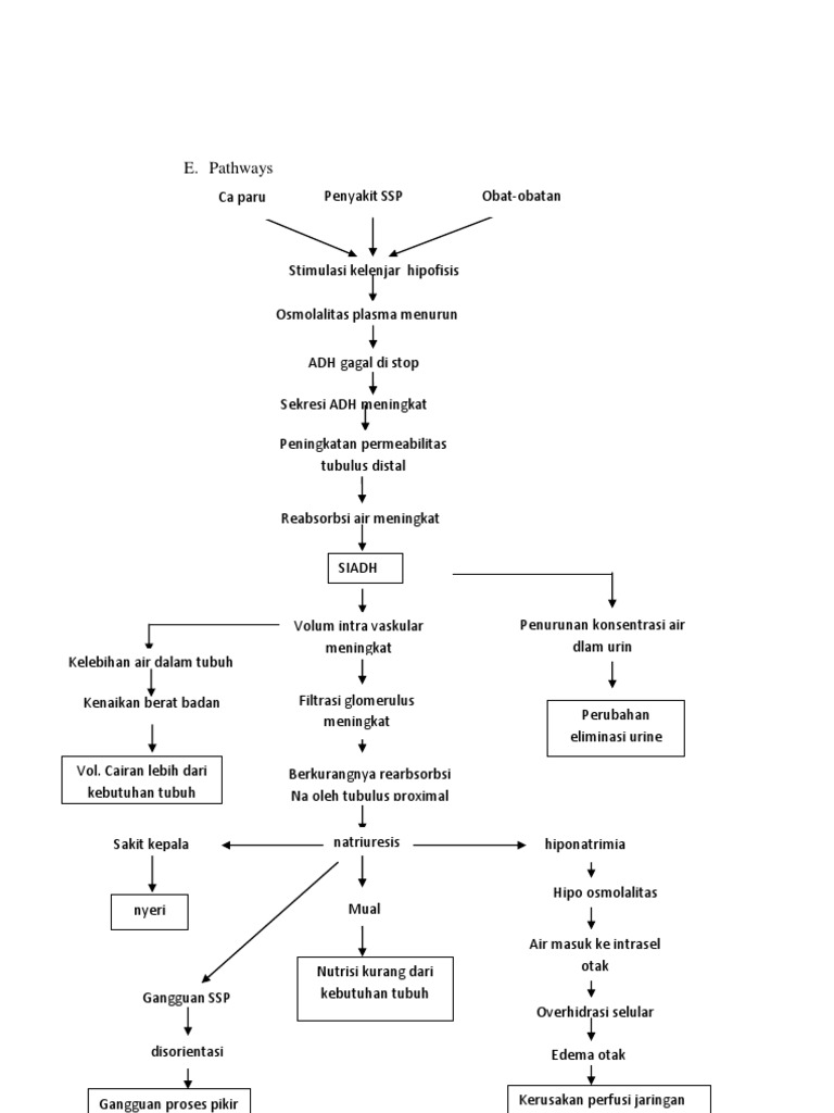 pathway siadh.docx