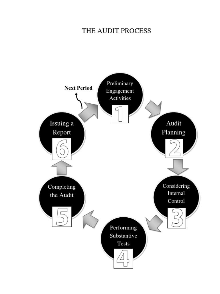 The Audit Process | Financial Audit | Audit | Free 30-day Trial | Scribd