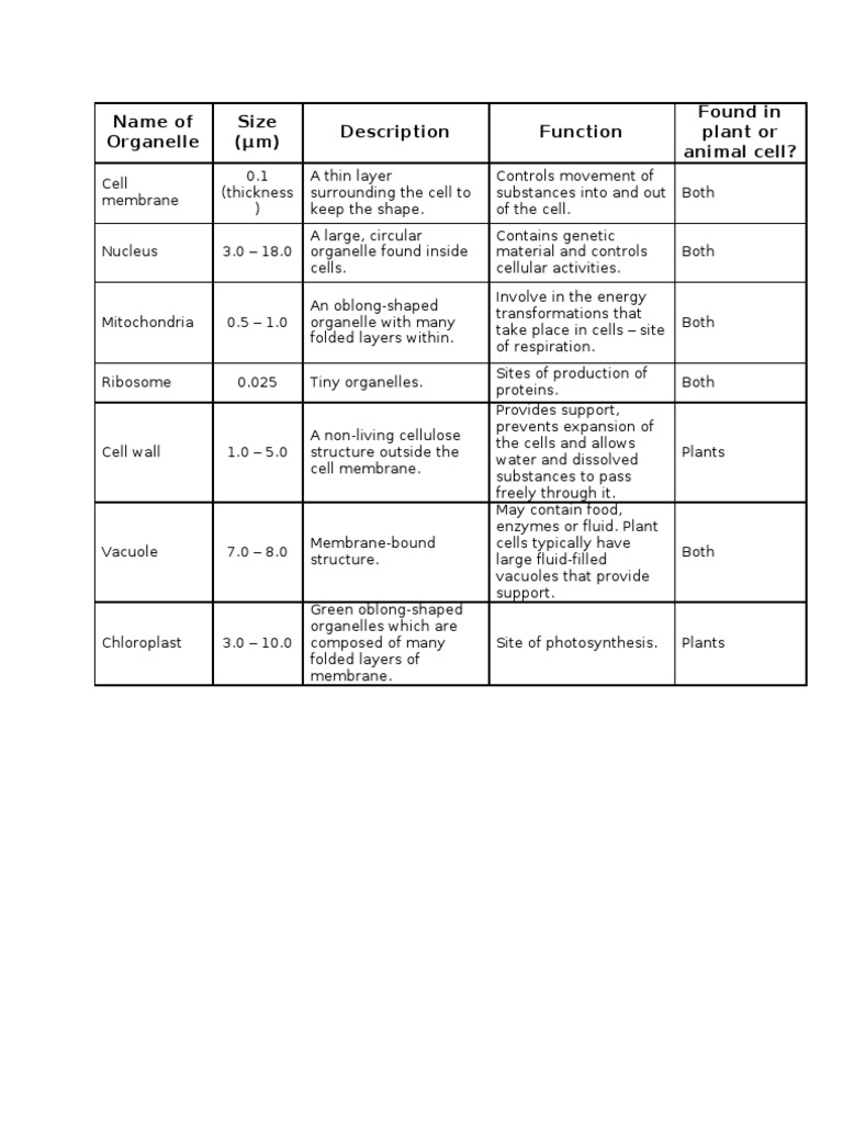 Investigation - Cells and The Electron Microscope | PDF
