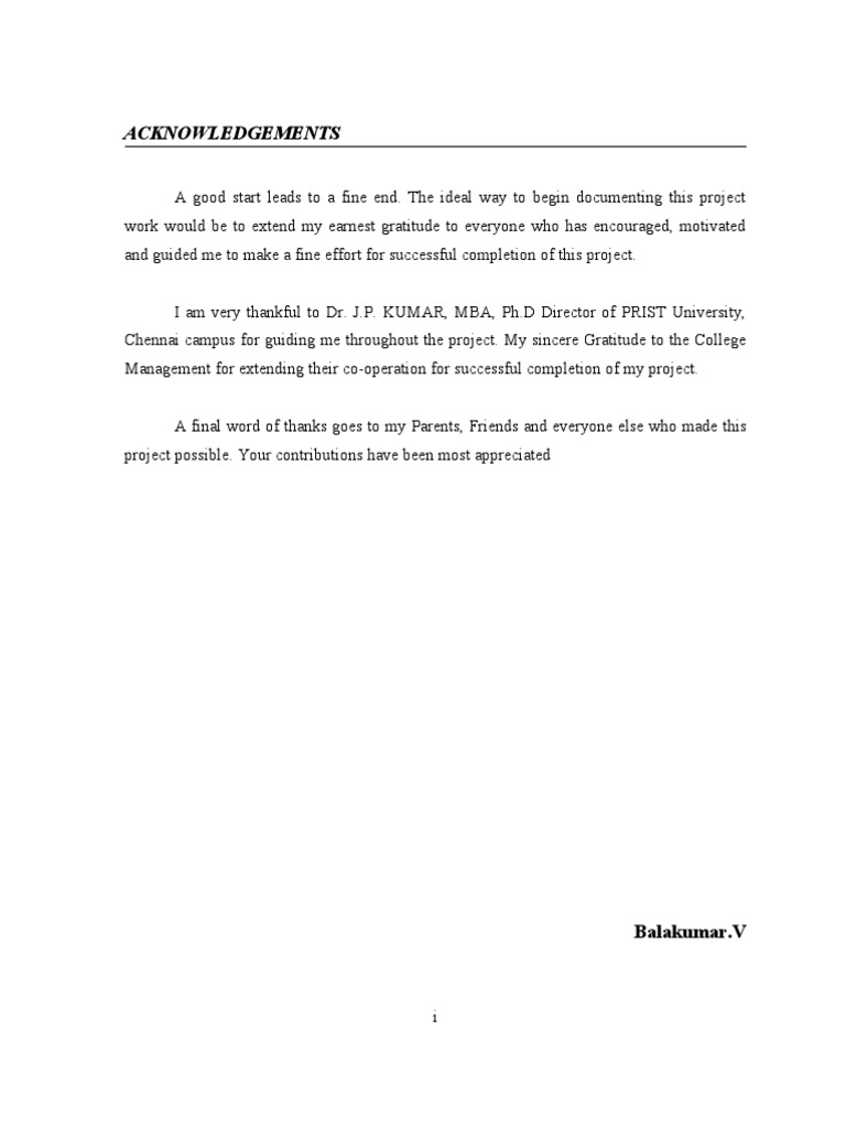 Mphil Format | PDF | Advertising | Social Networking Service